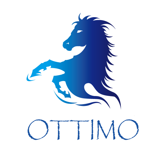 Iniciar Sesion | Ottimo 2.0